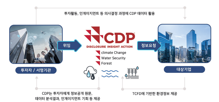 ESG 실무자를 위한 CDP 완벽 가이드: 개념부터 참여 방법까지 | ESG 올인원 솔루션, 로그블랙
